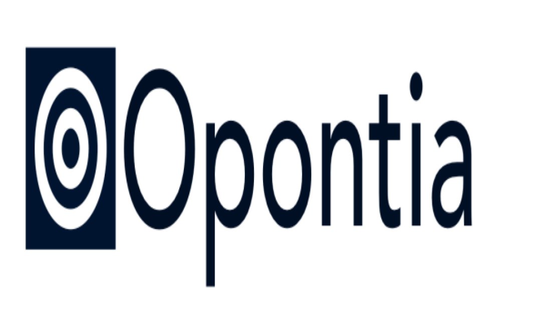 Opontia, Türk markası Beauty Pillow’u satın aldı